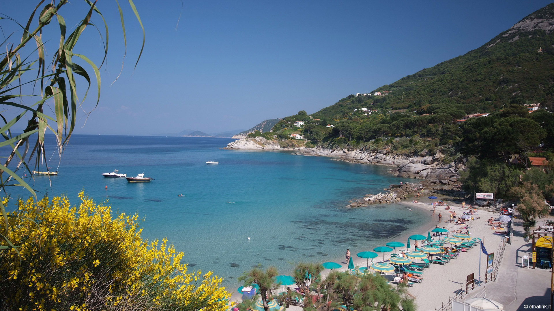 Hotel Barsalini Elba Island - Hotel Barsalini Sant'Andrea